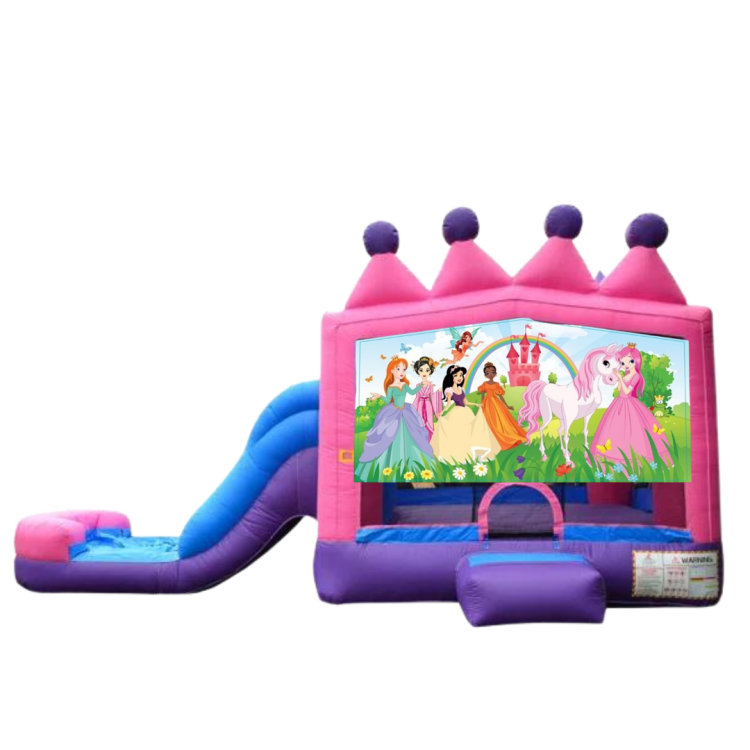 DRY Combo Bounce House-Princess - Luna Moon Bounce and Party Rental ...